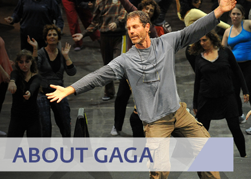 Gaga | Ohad Naharin | Virtual Reality Dance | Inception