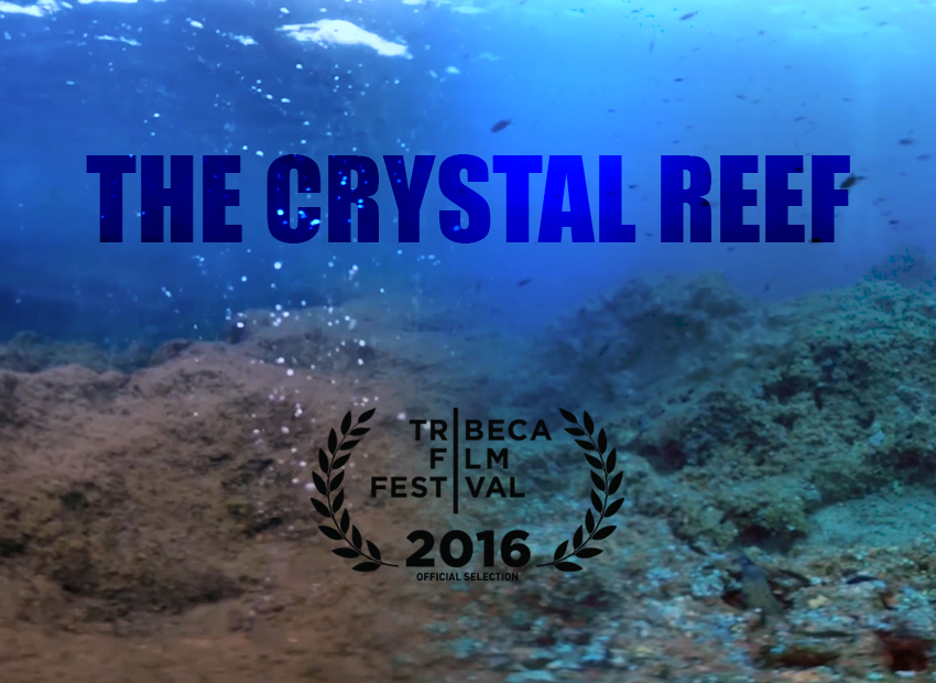 The Crystal Reef - inception