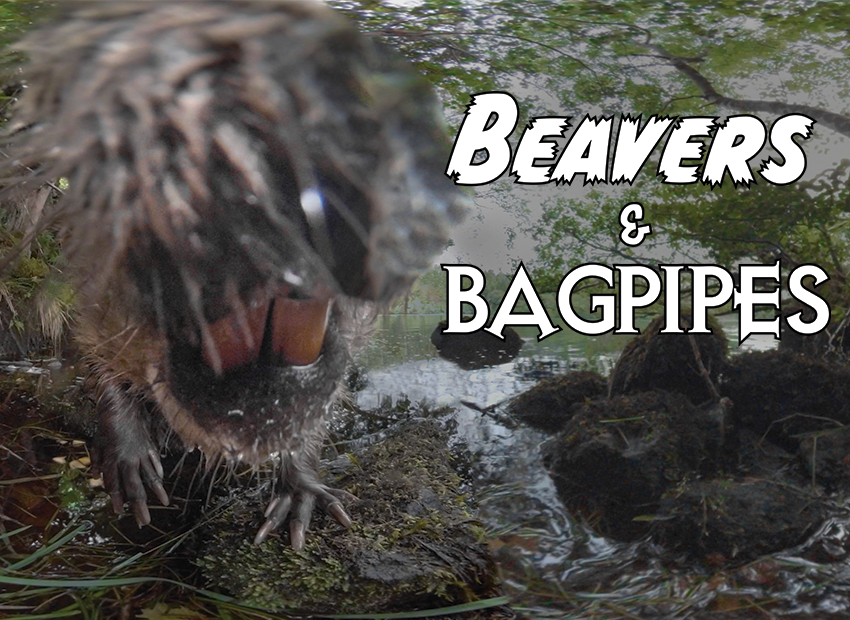 Beavers And Bagpipes - inception
